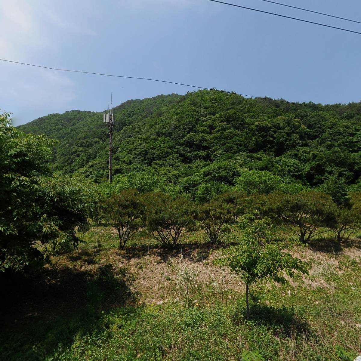 대한불교조계종 만세암