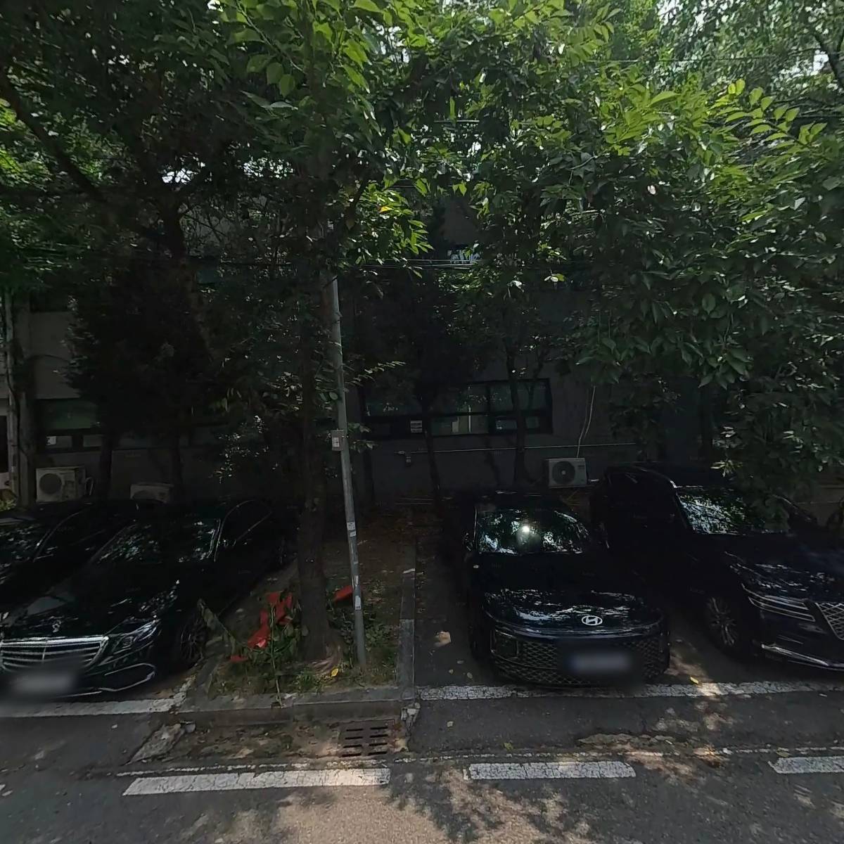 파트라(PATRA)